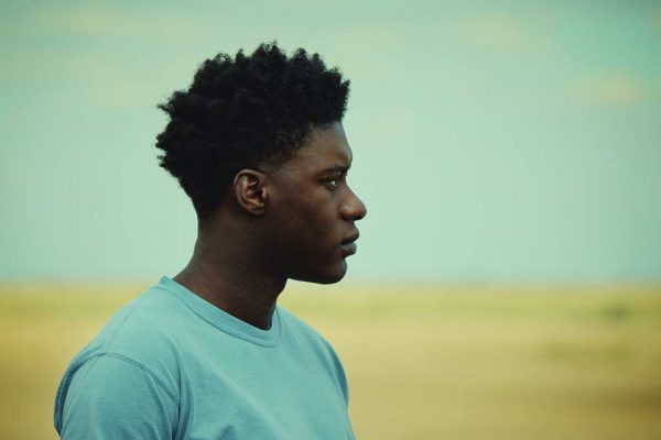 The Last Tree DVD Review - Culturefly